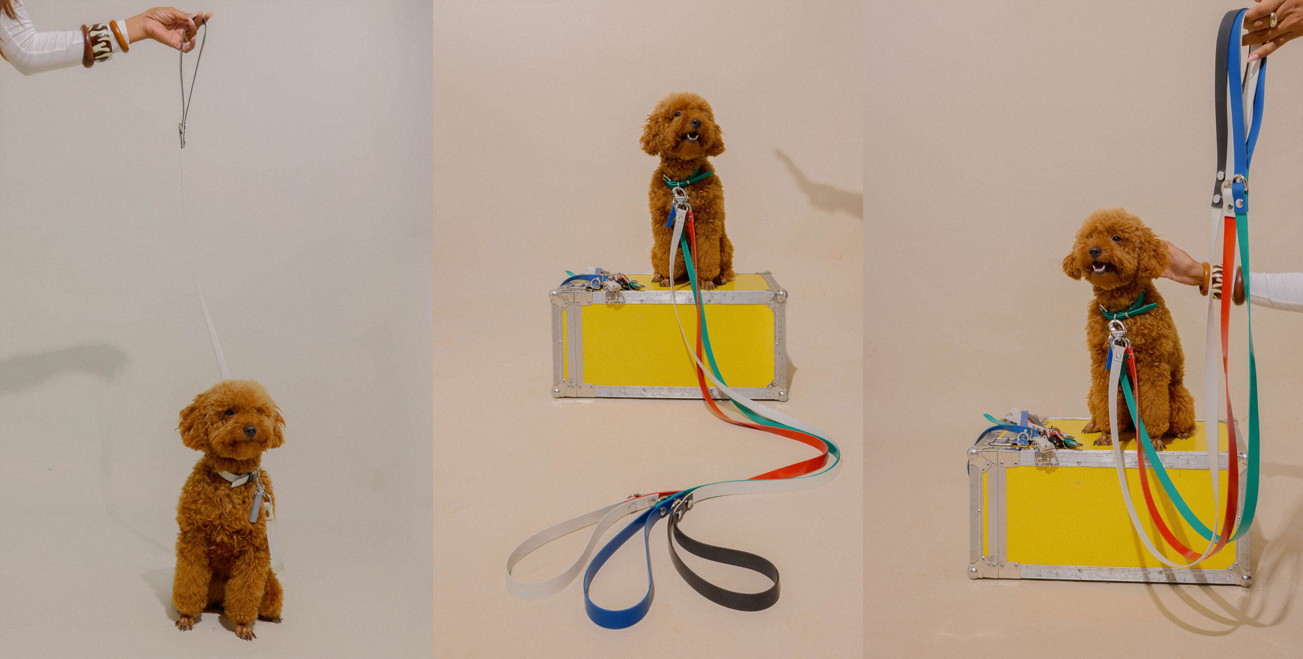 CHAMAR OFFICIAL ONLINE SHOP - Chamar